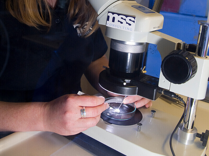 MSS Group | Asbestos Services Wales | Facilities Services Wales ...