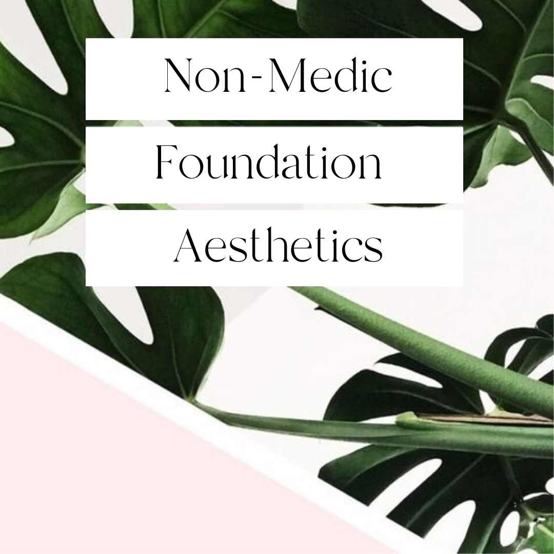 Non- Medic Foundation Aesthetics Package | THE INSTITUTE OF ...