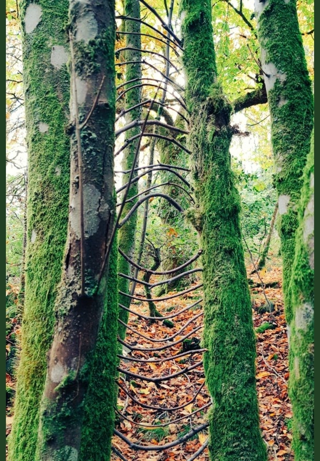 Faculties | Braes High School | Braes High School | Secondary School ...