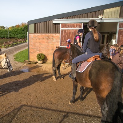 Lessons | Brampton Stables LLP