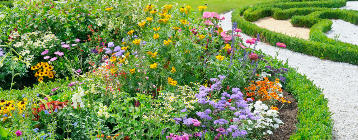 Richmond Trees and Landscape Ltd | Garden Maintenance Wimbledon | Tree ...