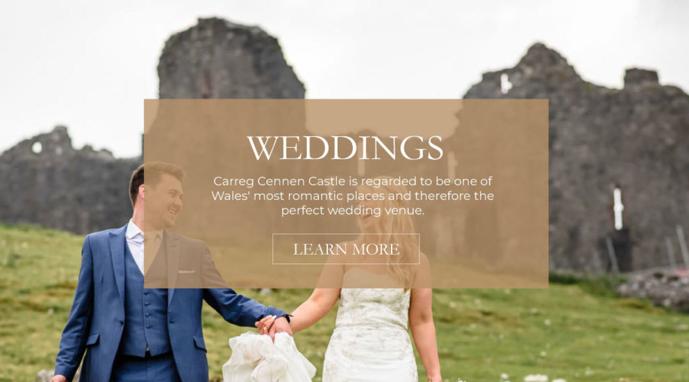 Carreg Cennen Castle & Farm | Attractions Llandeilo | Weddings ...